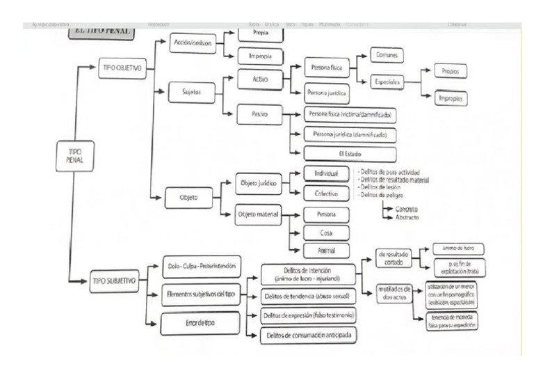 Esquema Del Tipo Penal | PDF