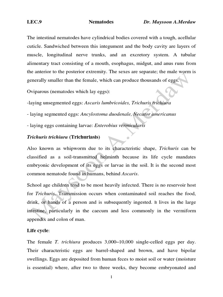 Lec 9 Nematodes | PDF | Medical Specialties | Diseases And Disorders