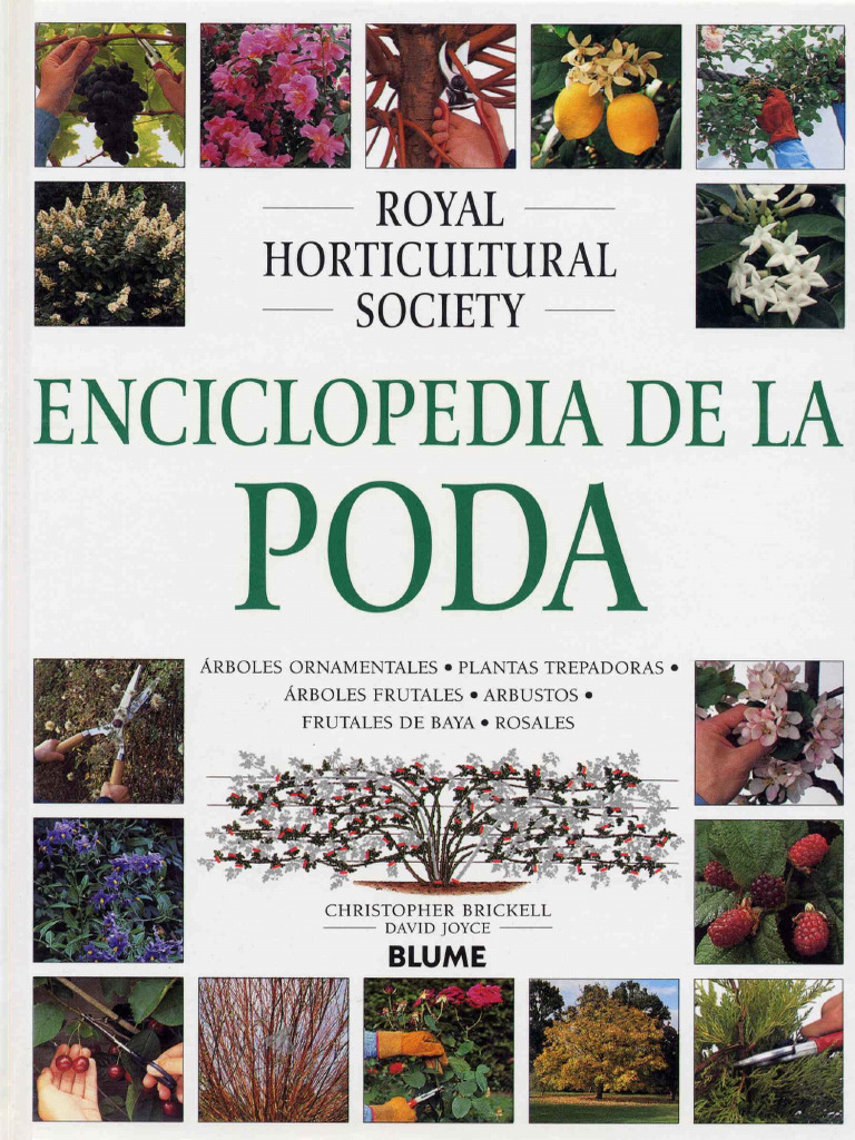 Botanica - Jardineria - Libro - Enciclopedia de La Poda (Royal H ...