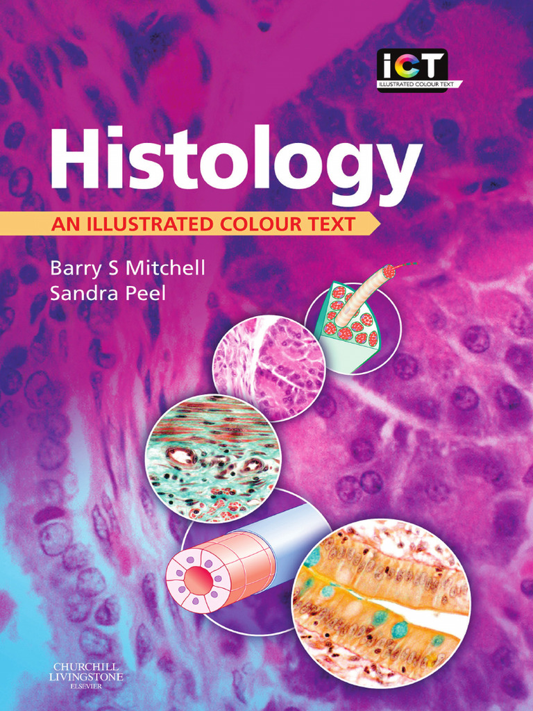 [Medicalstudyzone.com] Histology an illustrated colour text-Churchill Livingstone | PDF ...