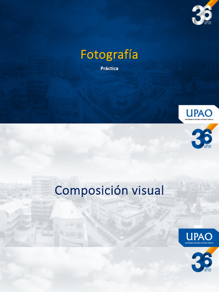 SEMANA 05 Composicion Visual - TEORIA | PDF