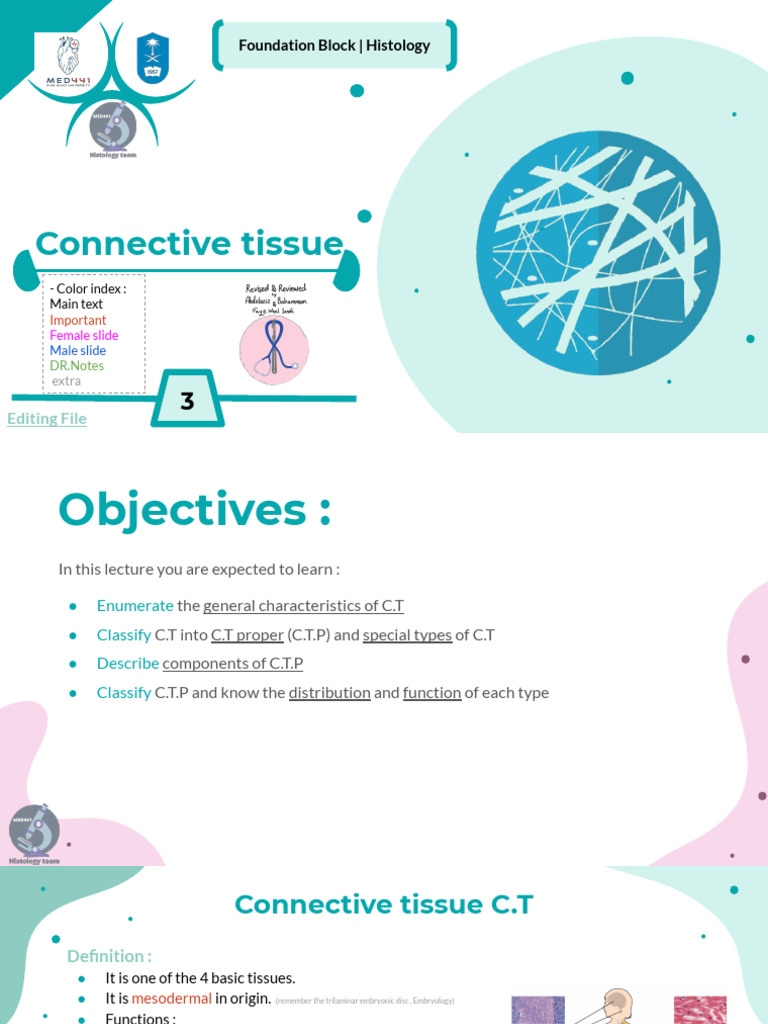 3-Histology Connective Tissues Team441 | PDF | Connective Tissue ...