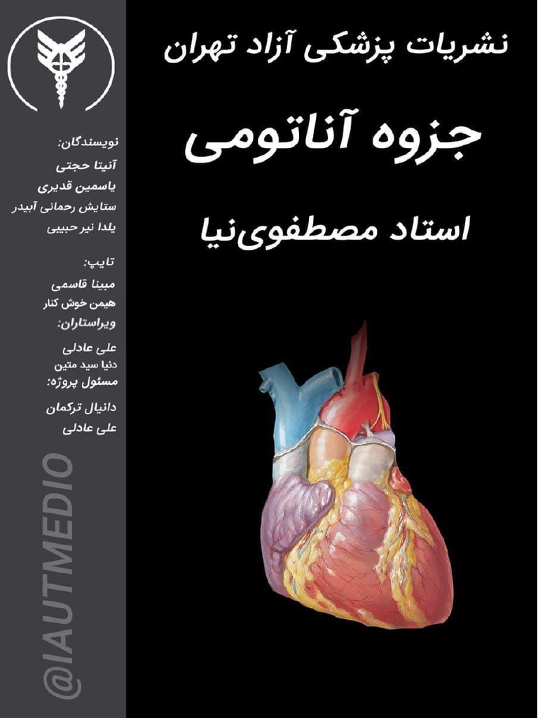 Anatomy 1 | PDF