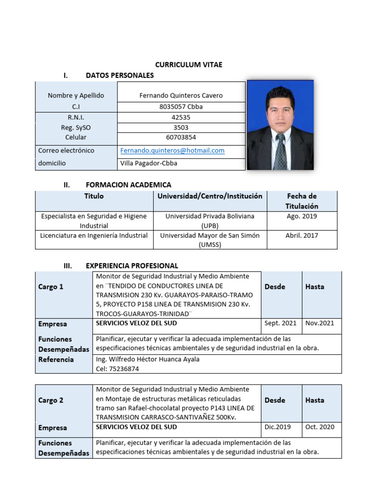Curriculum Vitae Fernando | PDF | Business | Economias