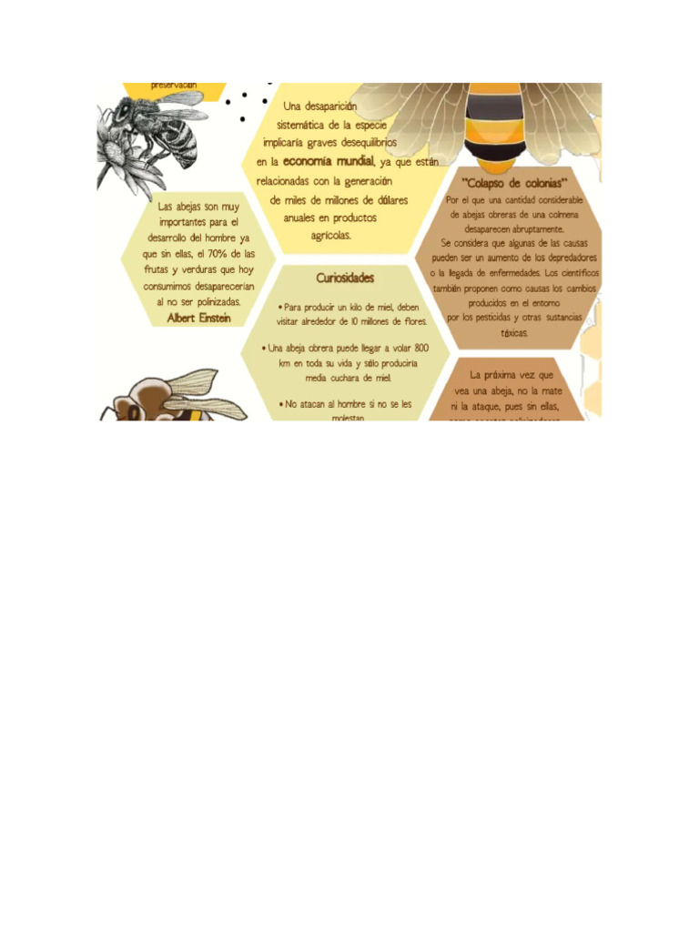 Bees | PDF