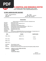 Template Echoreport | PDF