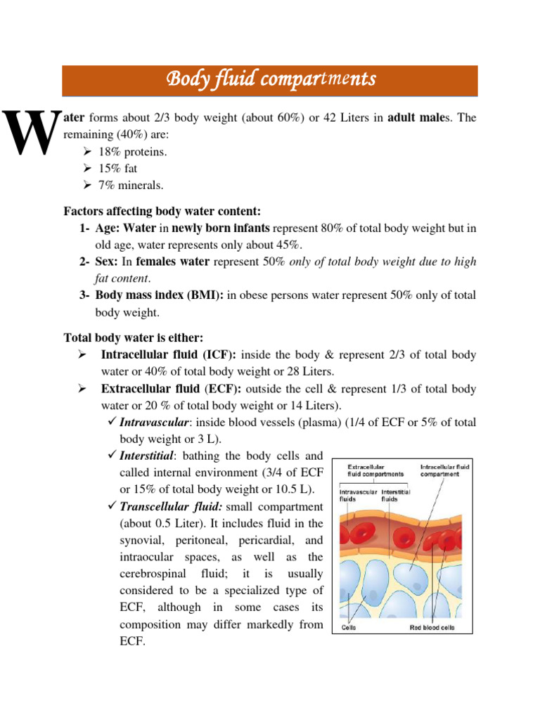 Body Fluids Membrane Potentials | PDF | Action Potential | Myelin