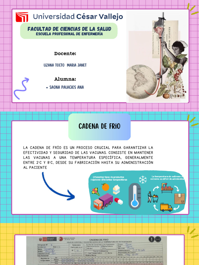 Cadena de Frio | PDF