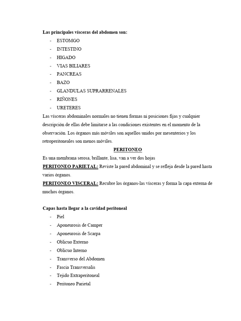 Anatomía del Peritoneo y Vísceras Abdominales | PDF | Abdomen | Peritoneo