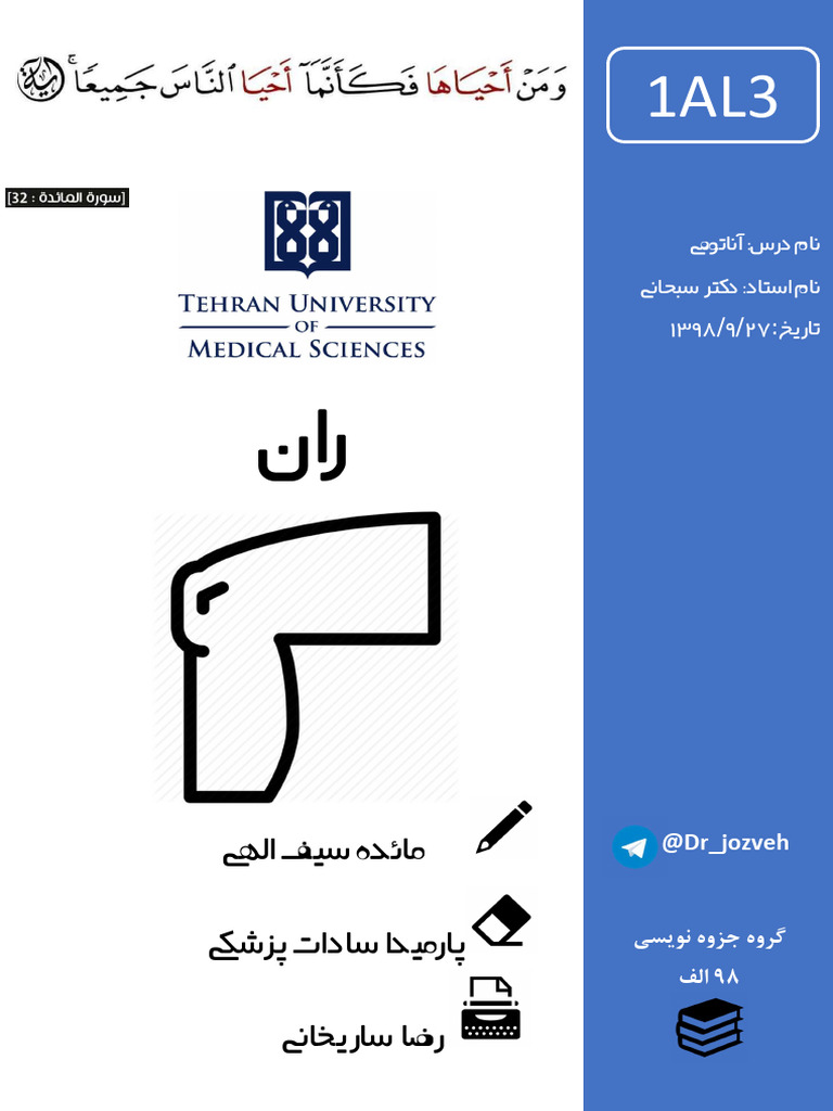 Thigh-Anatomy (Lower Limb) - DR - Sobhani-98A-1st Semester | PDF