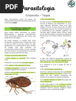 Sintomas da Tungíase e Cuidados | PDF | Doenças e distúrbios | Remédio