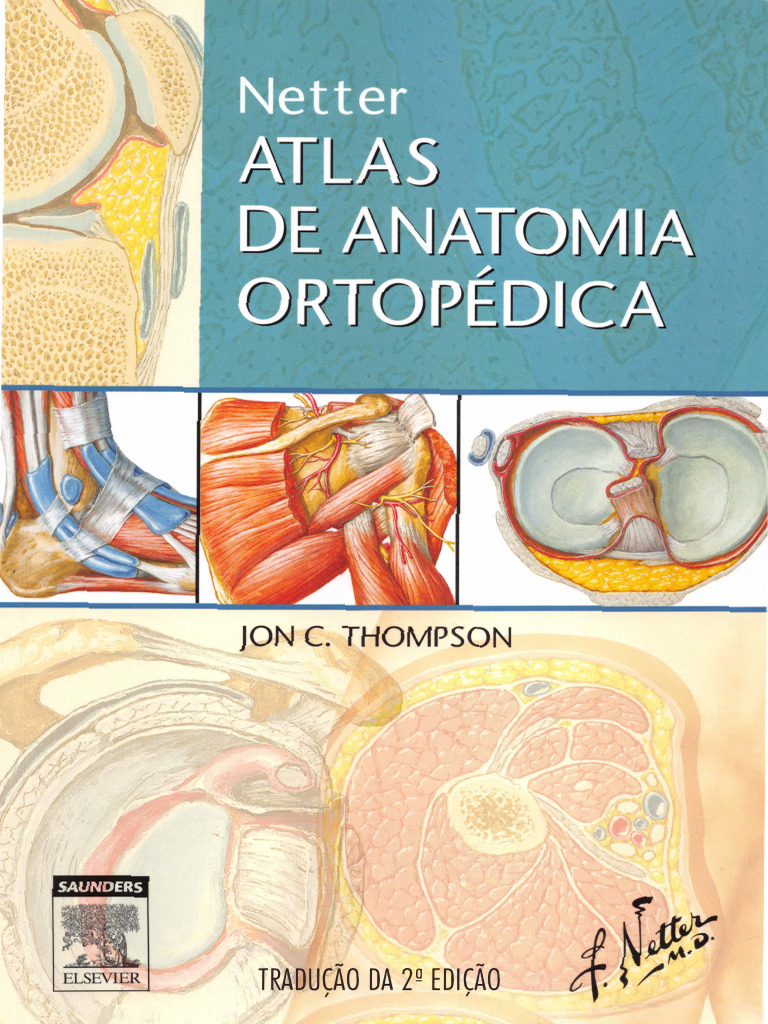 Netter Atlas de Anatomia Ortopedica | PDF Netter Atlas de Anatomia Ortopedica | PDF