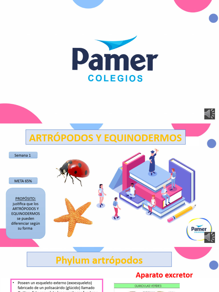 Artrópodos y Equinodermos | PDF | Zoología