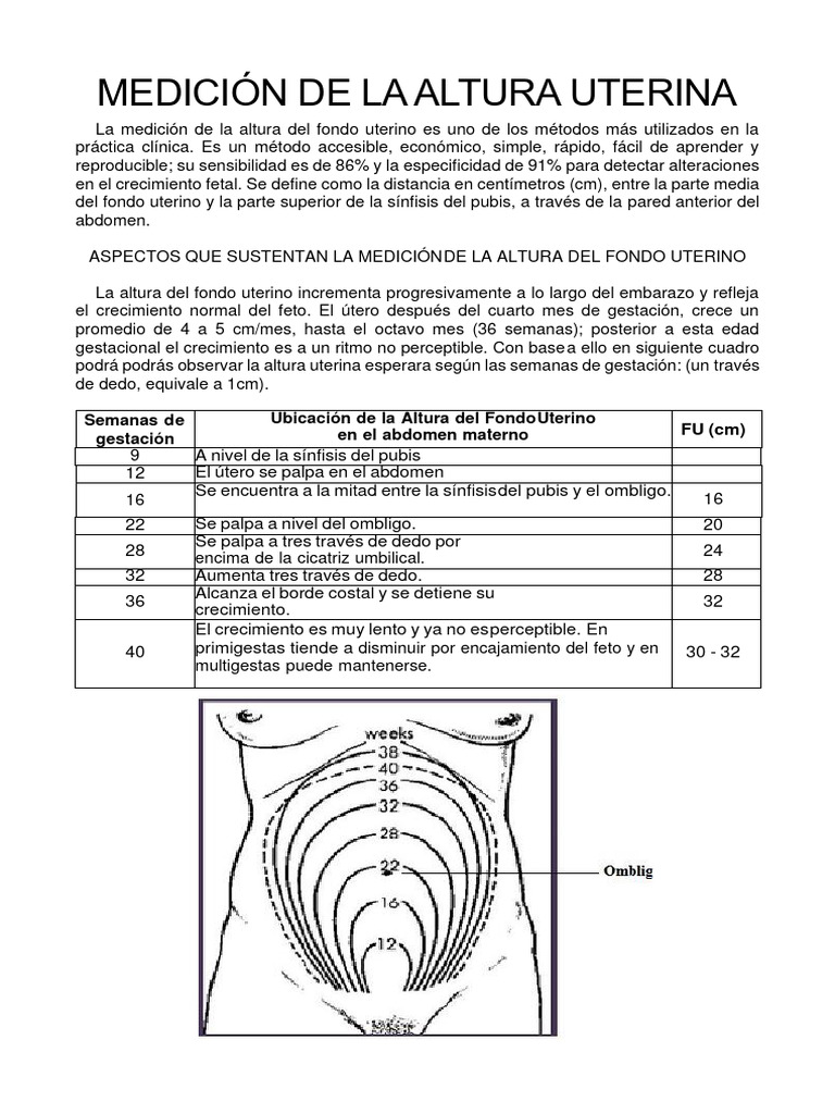 Medición de La Altura Uterina | PDF | El embarazo | Feto