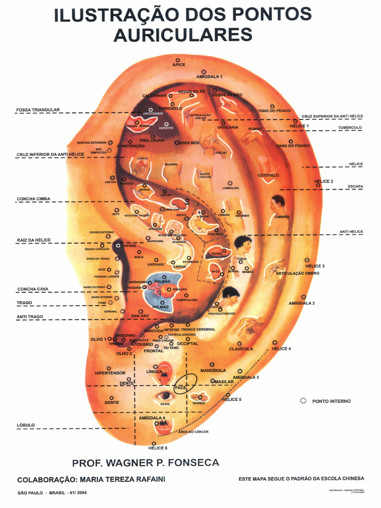 Mapa Auriculo Prof Wagner Fonseca | PDF