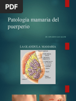 Protocolo de Mastitis Puerperal y Absceso | PDF | Especialidades ...