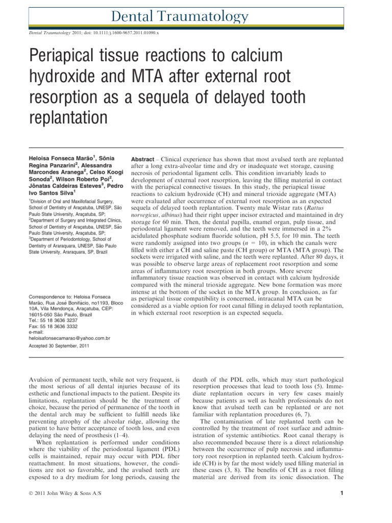 Periapical Tissue Reactions To Calcium | PDF | Human Tooth | Tooth