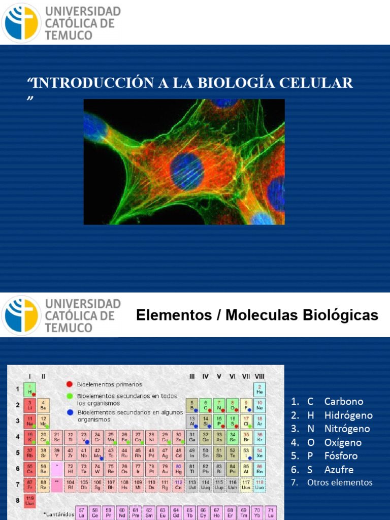 Introducción A La Bilogía Celular I | PDF | Biología Celular) | Macromoléculas