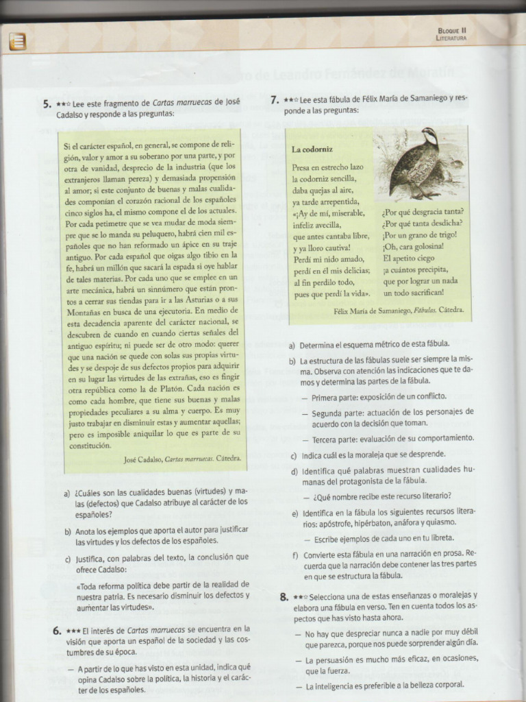 Español Leccion 15 | PDF