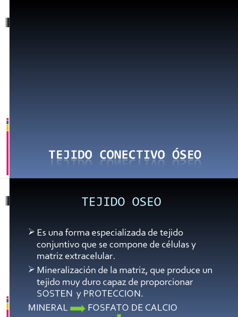06 Tejido Oseo Clase | PDF | Hueso | Sistema esquelético