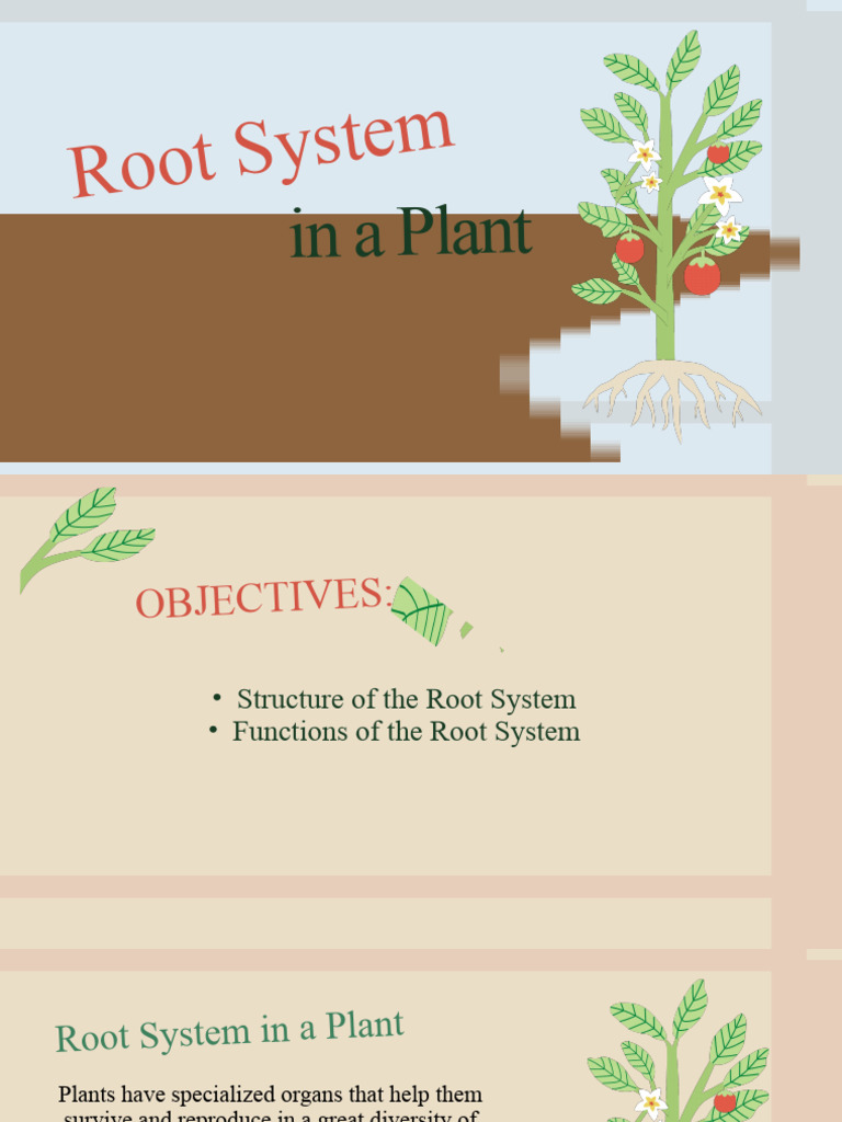 Plants and Their Systems Science Presentation in Light Brown Light Blue ...