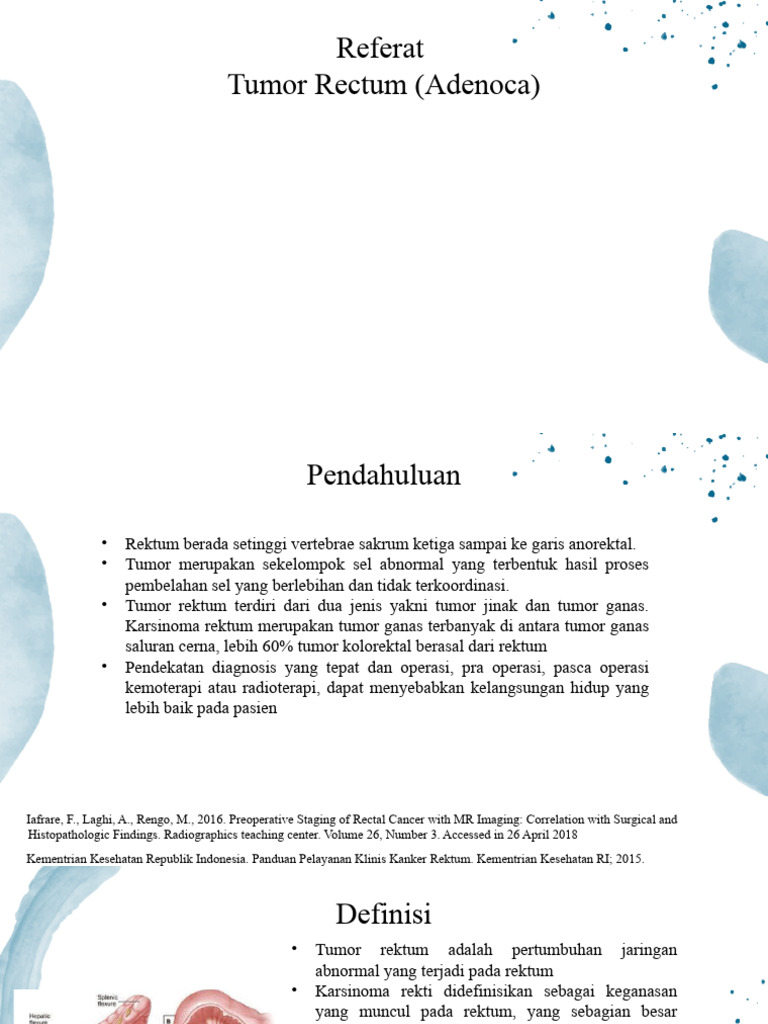 Panduan Kanker Rektum | PDF