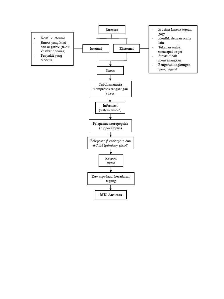 Pathway Ansietas pada Ibu Hamil | PDF