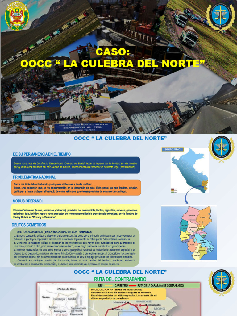 Organigrama La Culebra Dle Norte | PDF | Contrabando | aduana