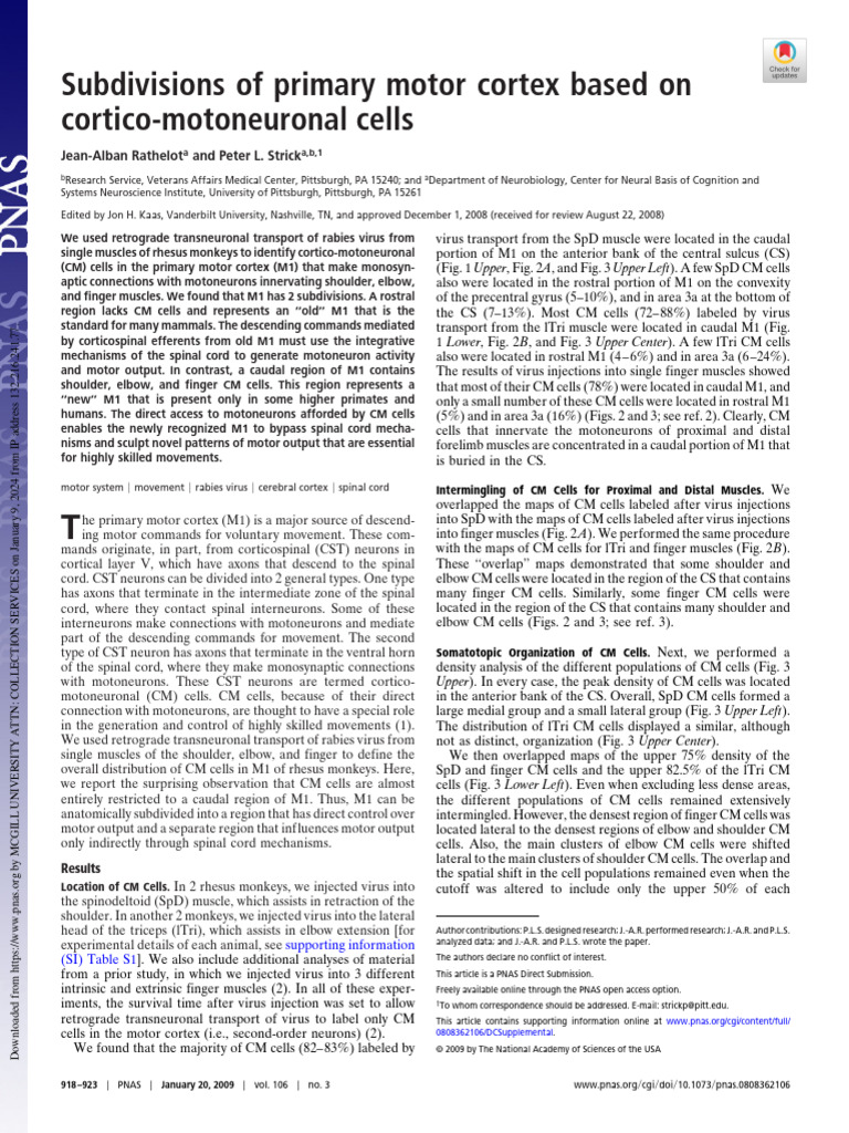 PSYC 427 - L2 Reading - Rathelot-Strick-2009-Subdivisions-Of-Primary-Motor-Cortex-Based-On ...