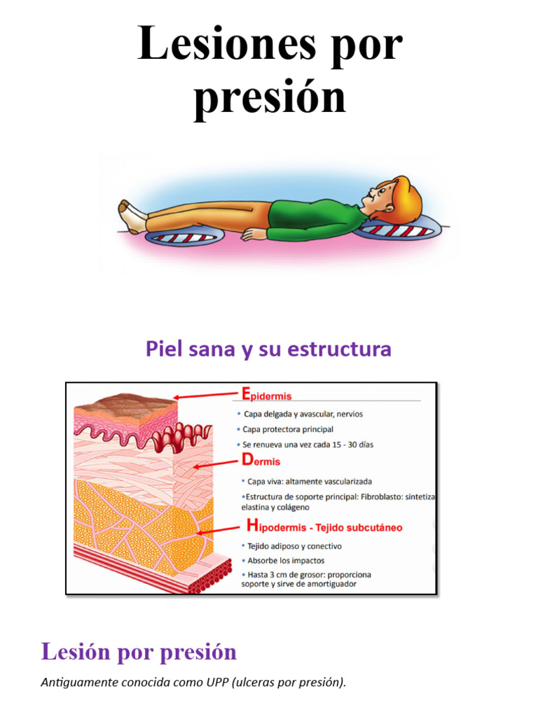 Lesiones Por Presión 12 | PDF | Piel | Hueso