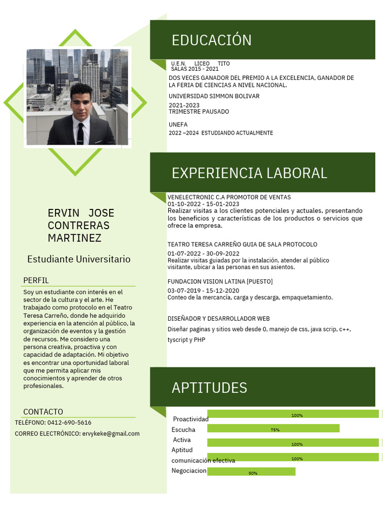 Curriculum 2 | PDF | Informática