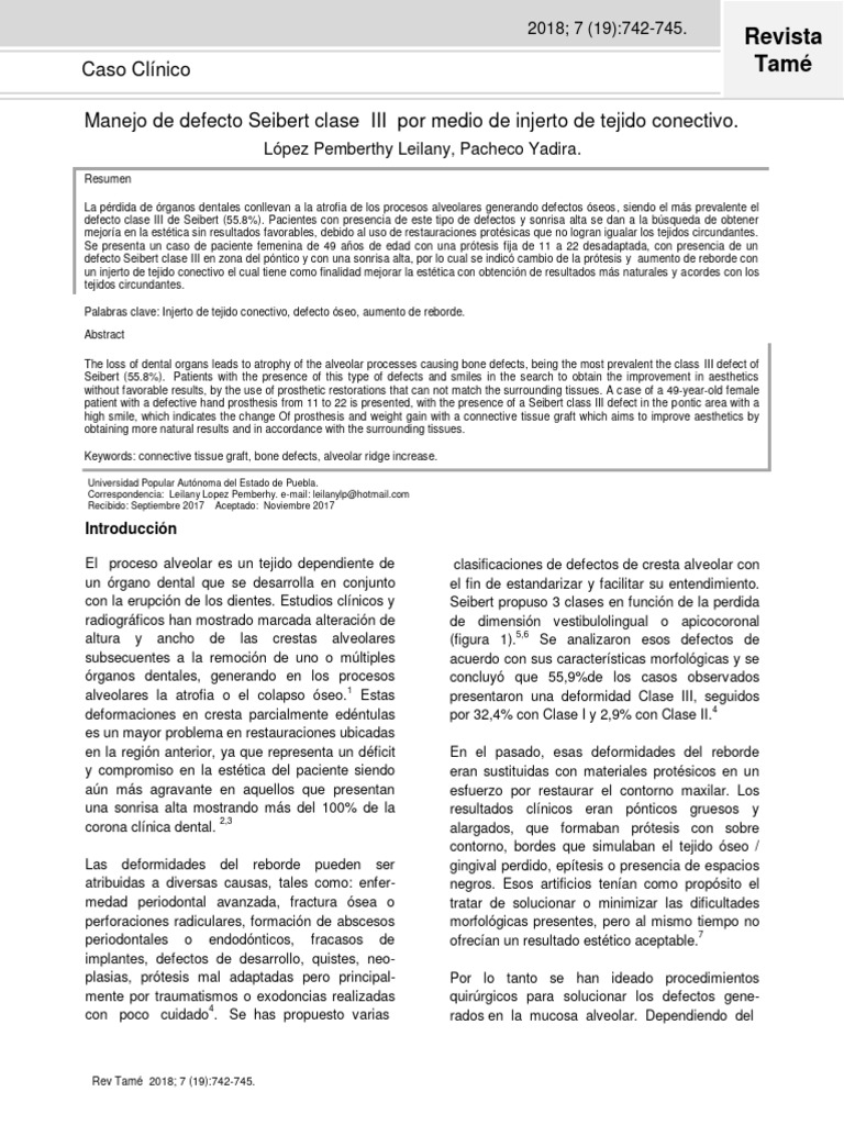 Seibert Clase III | PDF | Boca | Diente