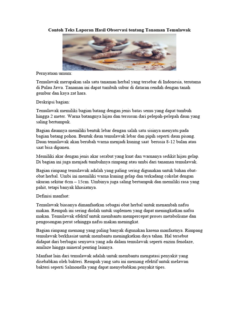 Contoh Teks Laporan Hasil Observasi Tentang Tanaman Temulawak Dek Ida | PDF