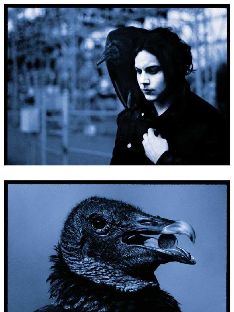 Jack White Blunderbuss 2012 Digital Booklet | PDF