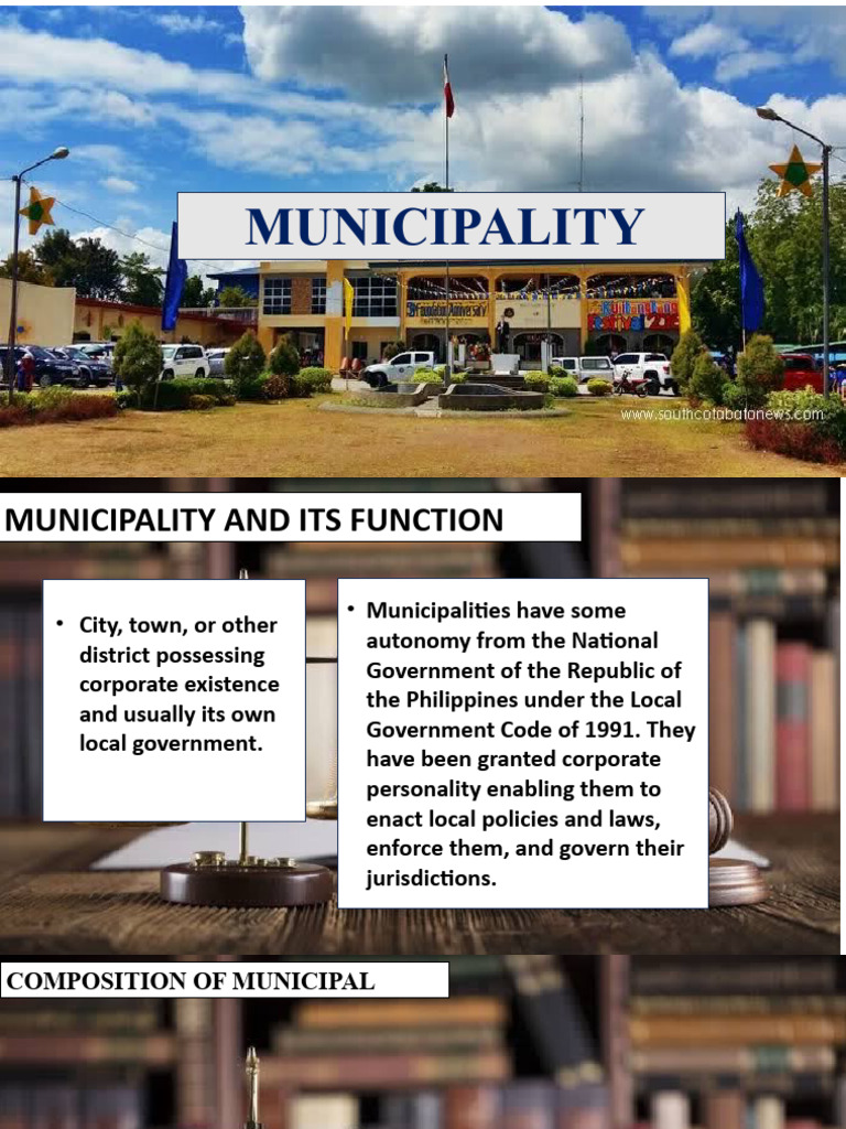 PPG Municipality | PDF | Mayor | Governance