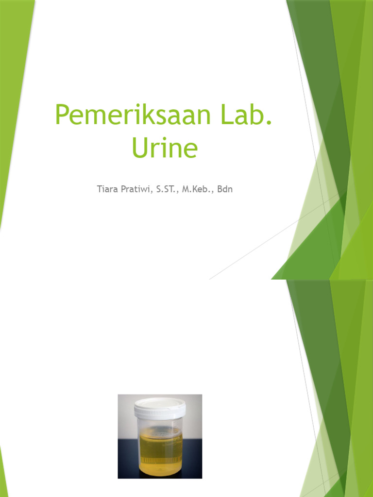 Pemeriksaan Urine Lab | PDF | Sains & Matematika