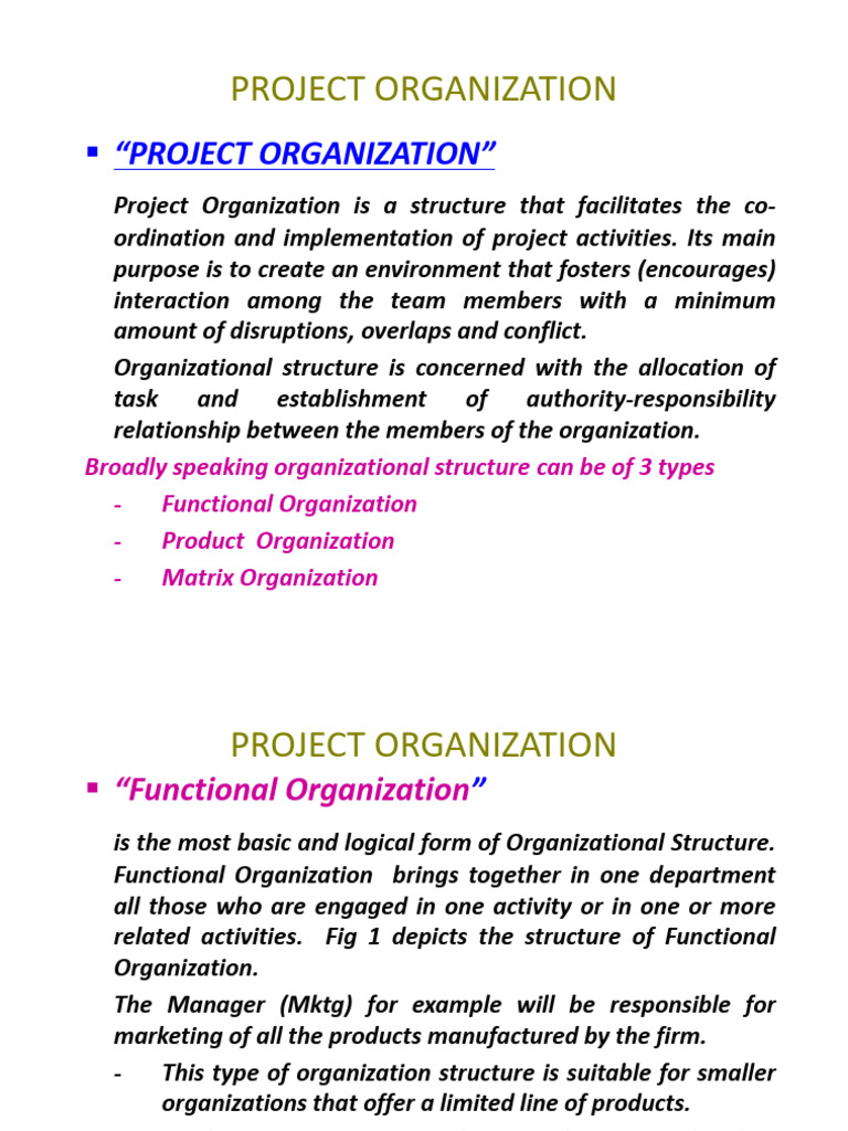 Understanding Project Organization Types | PDF | Organizational Structure | Marketing