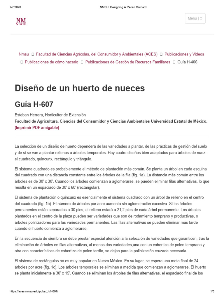NMSU_ Designing A Pecan Orchard | PDF | Botánica | Agricultura