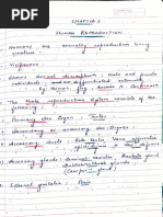Labeled Male Reproductive System Diagram | PDF | Science & Mathematics