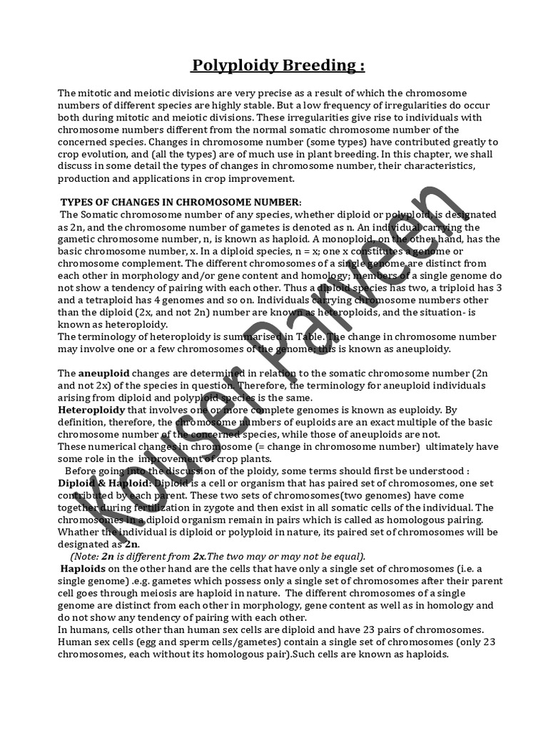 Polyploidy Breeding Pdf Ploidy Biological Processes