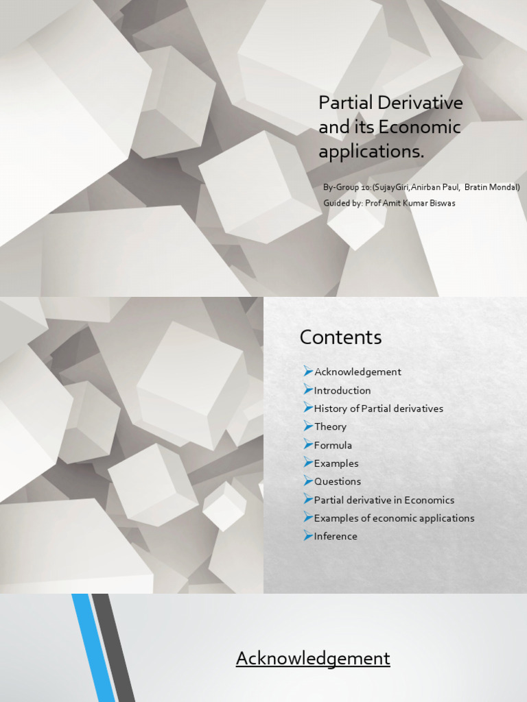 Economic Applications of Partial Derivatives | PDF | Derivative ...
