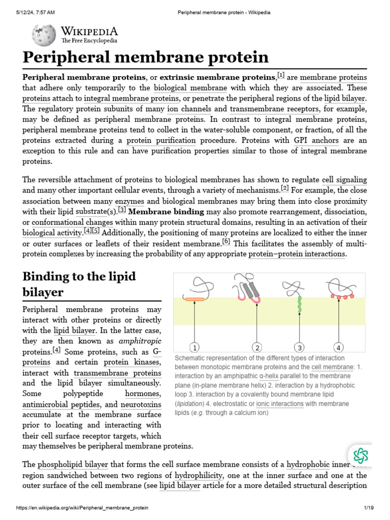 Peripheral Membrane Protein - Wikipedia | PDF | Cell Membrane | Cell ...