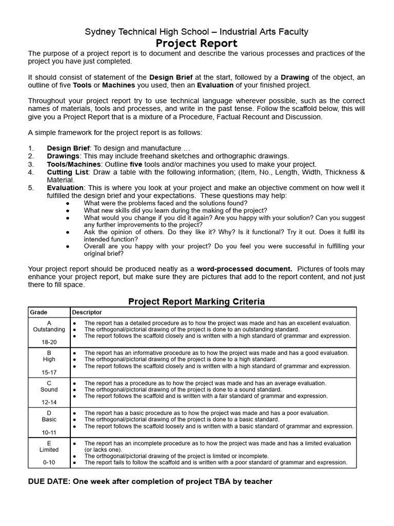 Project Report - 2024 | PDF | Cognition