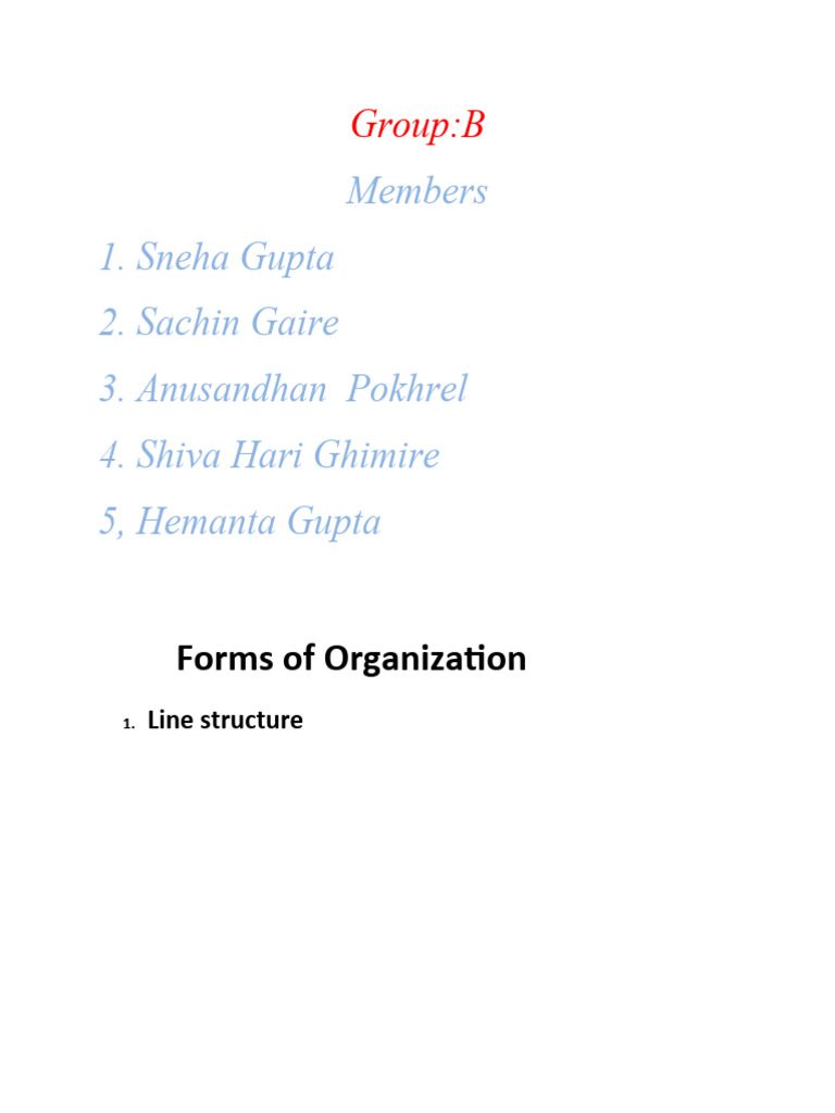 Forms of Organization (Pom) | PDF