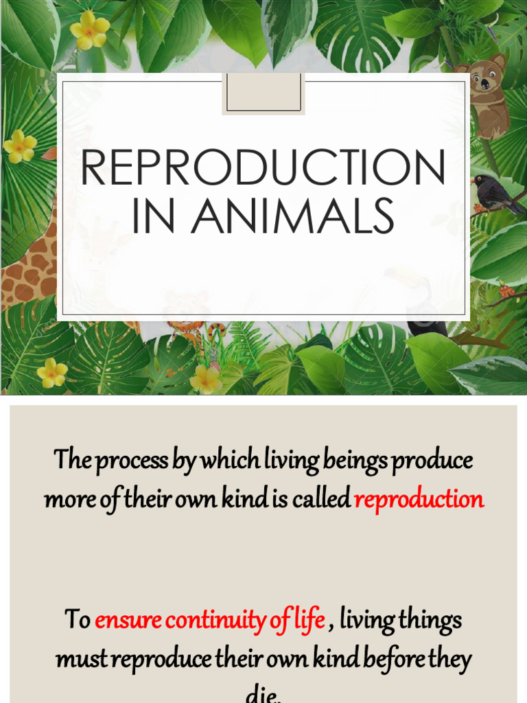Animal Reproduction and Life Cycles | PDF | Egg | Frog