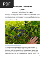 Haskap Pollination and Ripening Guide | PDF | Flowers | Pollination