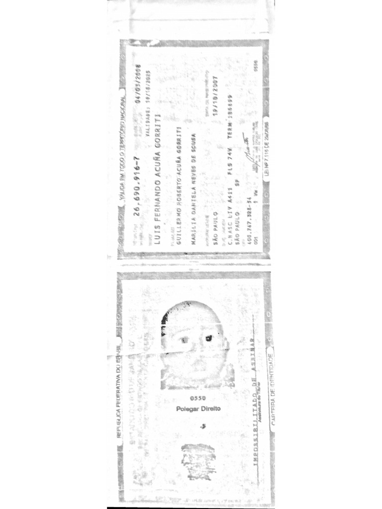 Digitalizado - RG Luis | PDF