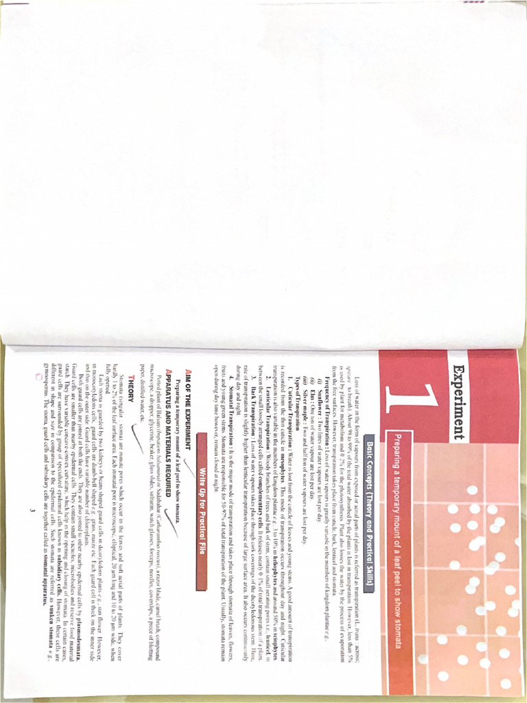 Scanned Document 3 | PDF