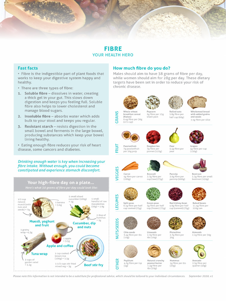 Fibre Factsheet - A4 v3 | PDF