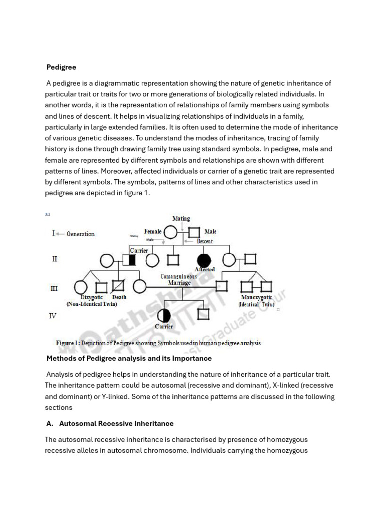 Pedigree Analysis | PDF | Dominance (Genetics) | Allele